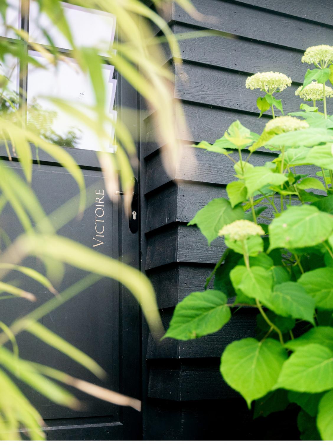 Offres Spéciales - Les Pins de César